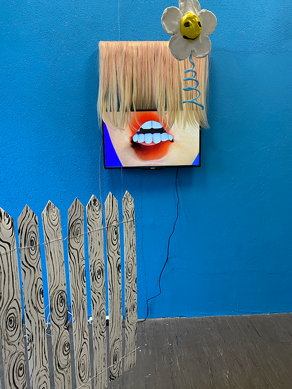 Dizzy Daisy @ Galerie 3ooo, Bern – katrin niedermeier